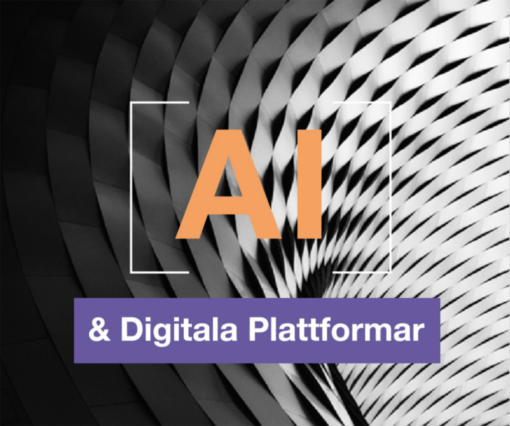 AI & Digital Platforms – Blue Institute